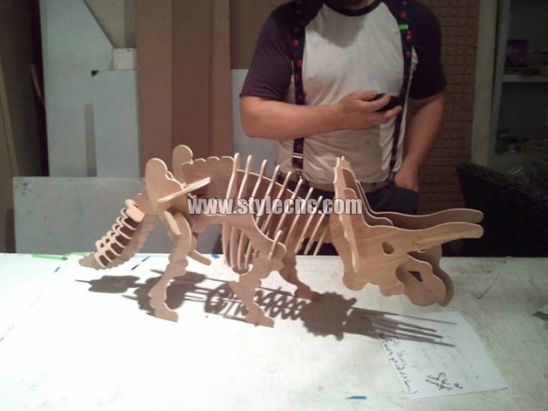 Laser Wood Engraving Cutting Machine Projects