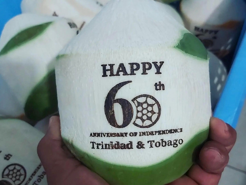 CO2 Laser Marking Machine DIY Custom Logo on Fresh Coconut