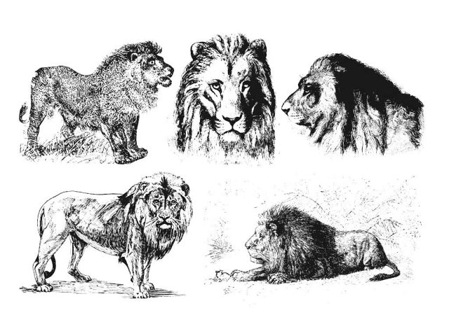 Free 2D/3D Laser Engraving Vector Files for Laser Etcher