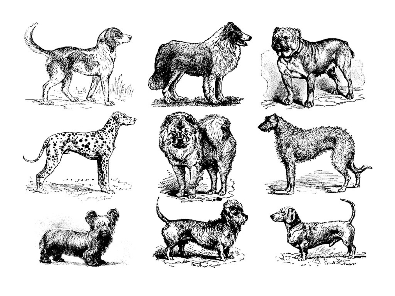 Free 2D/3D Laser Engraving Vector Files for Laser Etcher