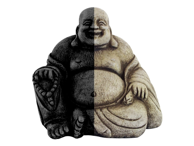 Laser Cleaner for Historic Stone & Artifact Restoration